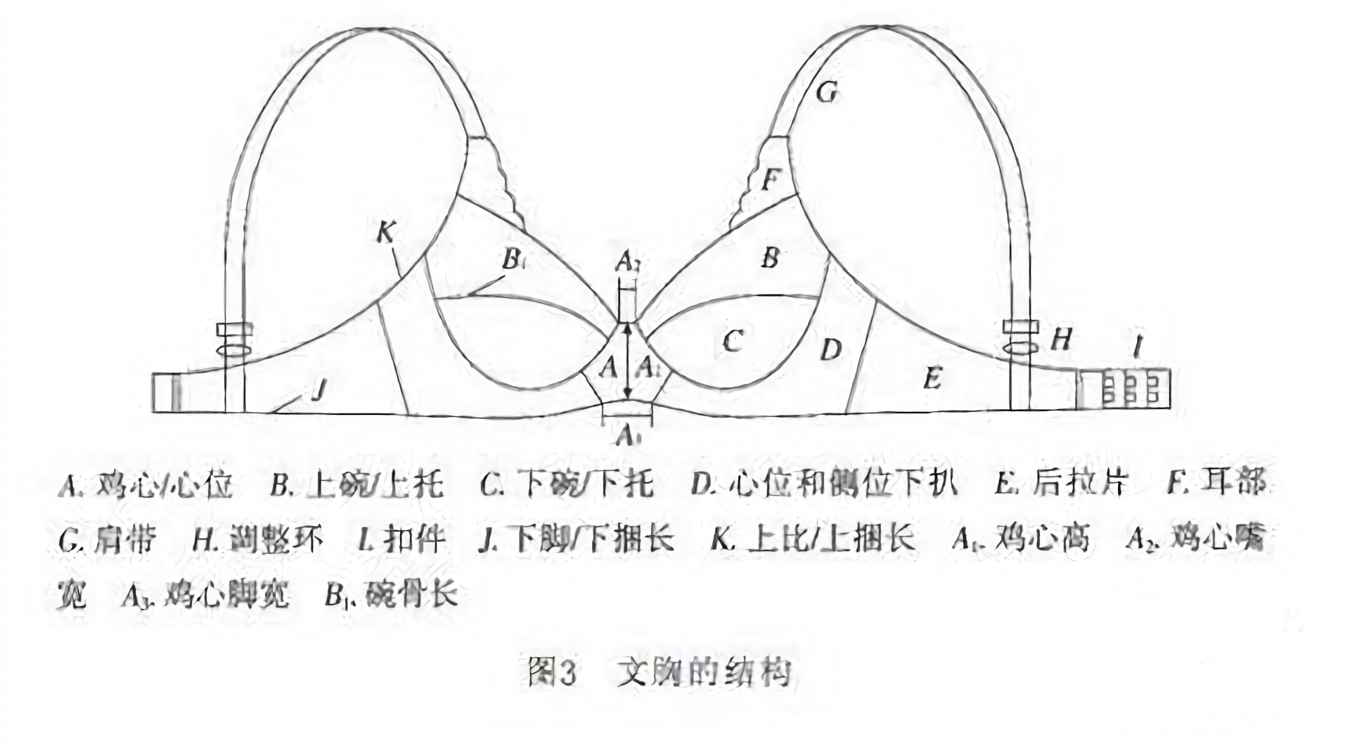 女孩子的文胸是怎么制作出来的 - 标件库