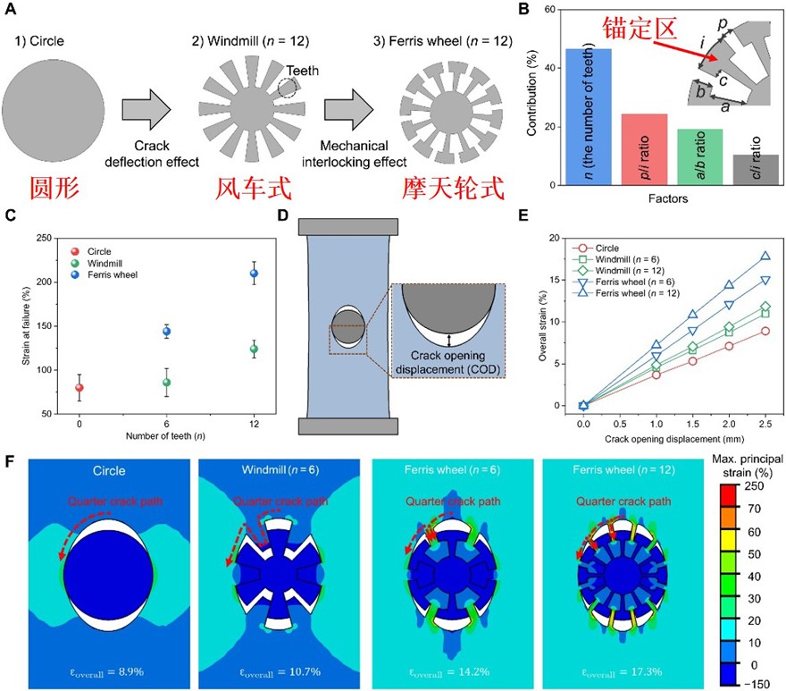 Sci. Adv.封面：可拉伸器件的究极进化——摩天轮 - 标件库